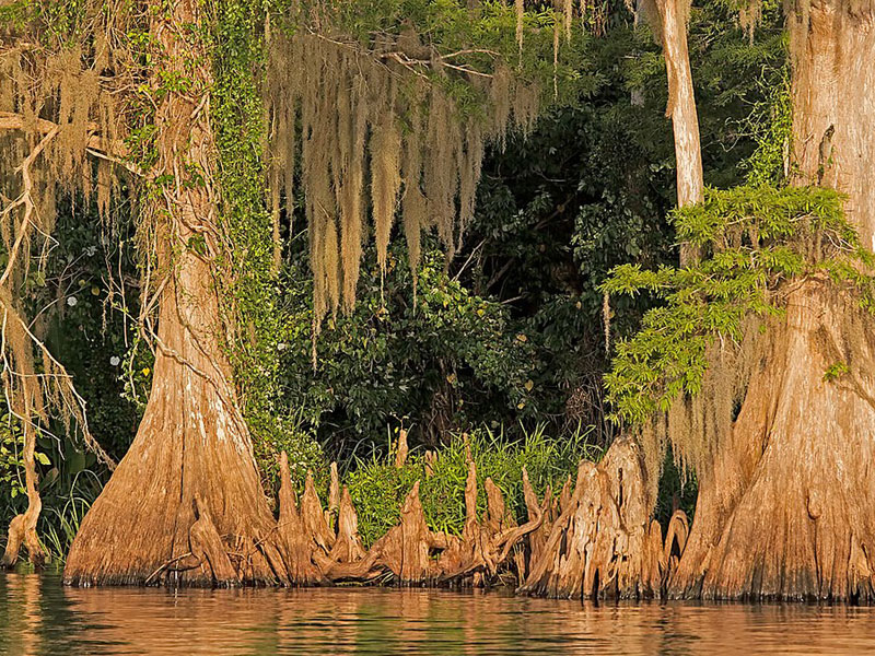 History - Fellsmere | Visit Indian River County