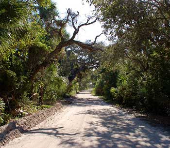 Jungle Trail | Visit Indian River County
