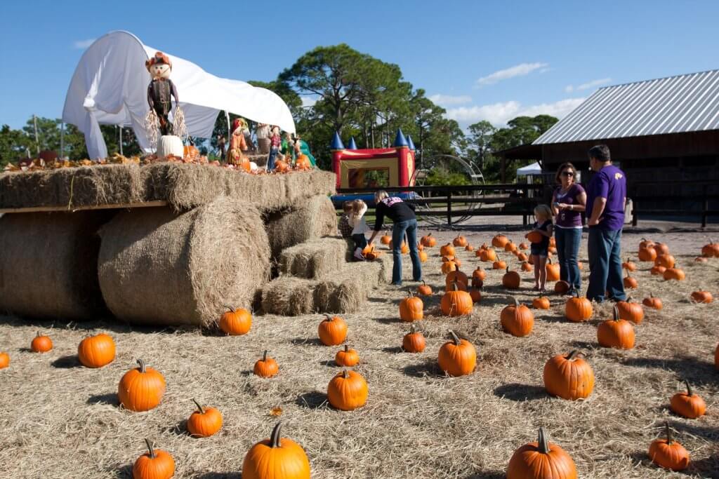Fantastic Fall Events in Indian River County - Visit Indian River County