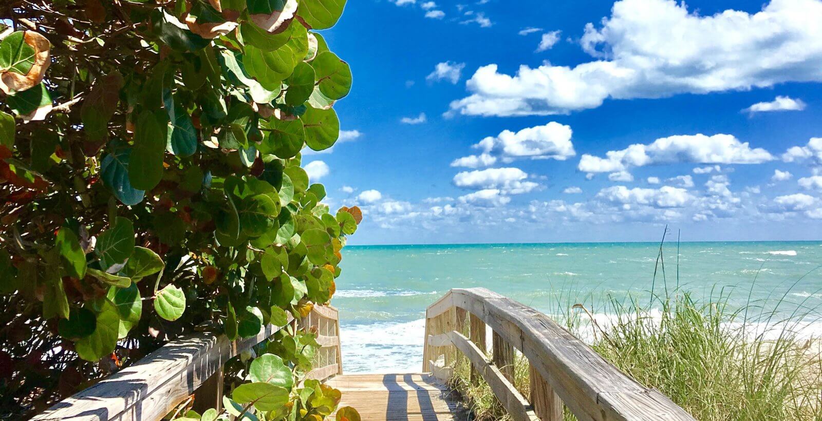 Beaches - Visit Indian River County