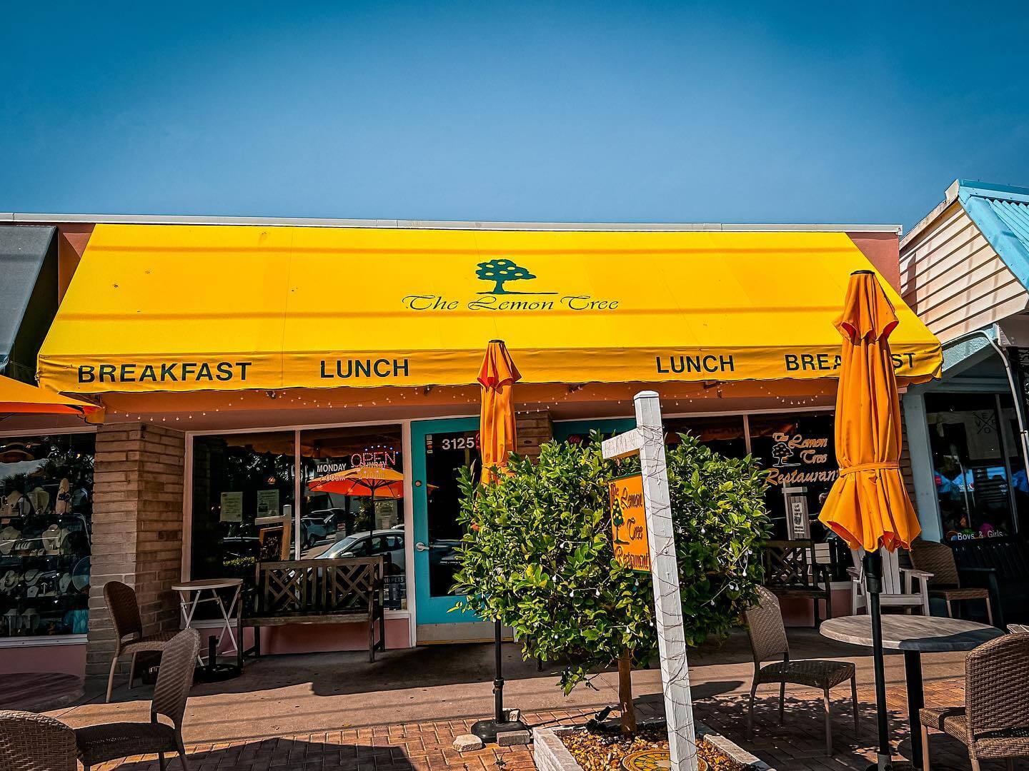 Lemon Tree - Visit Indian River County