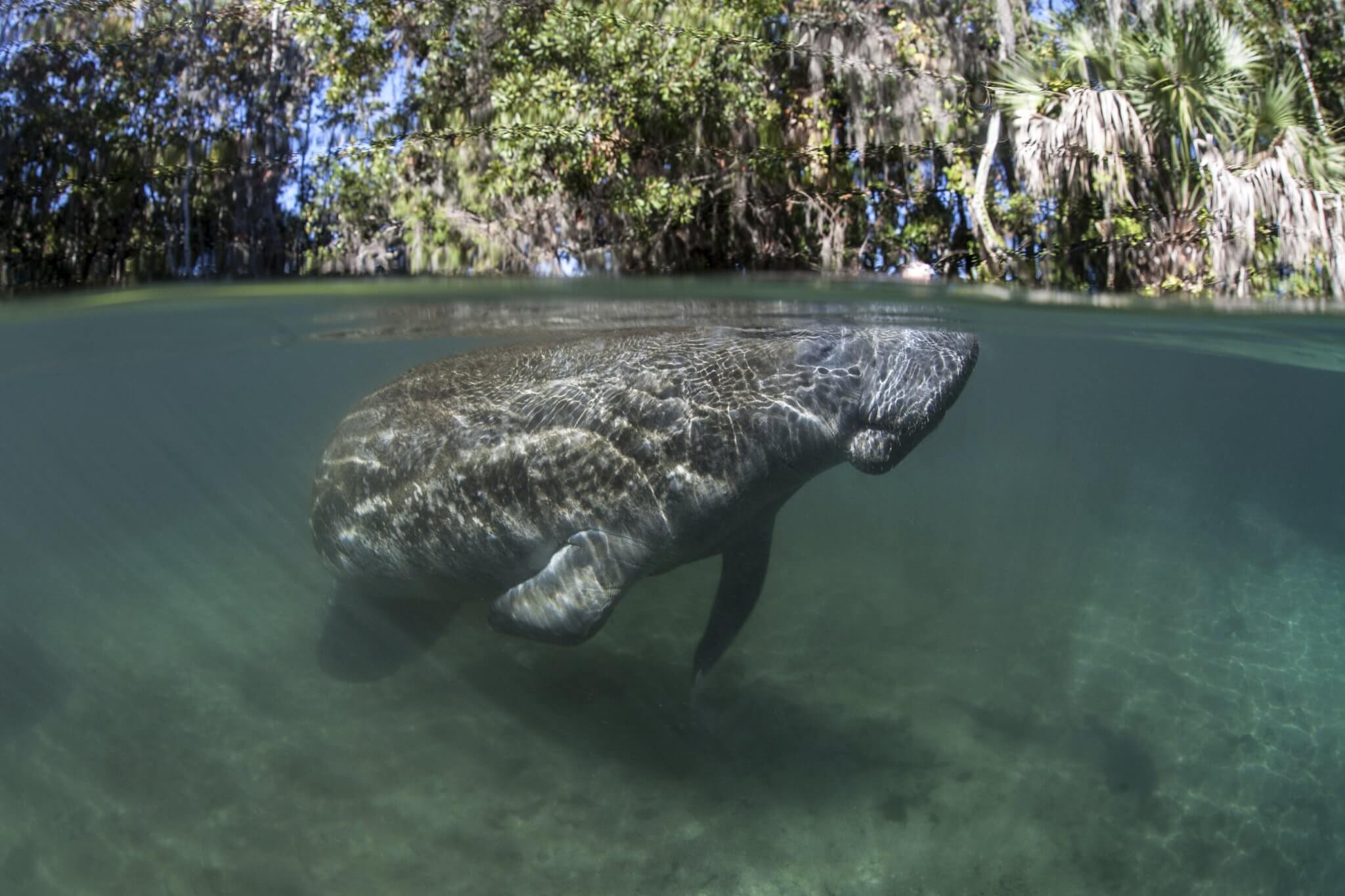 Beaches - Visit Indian River County