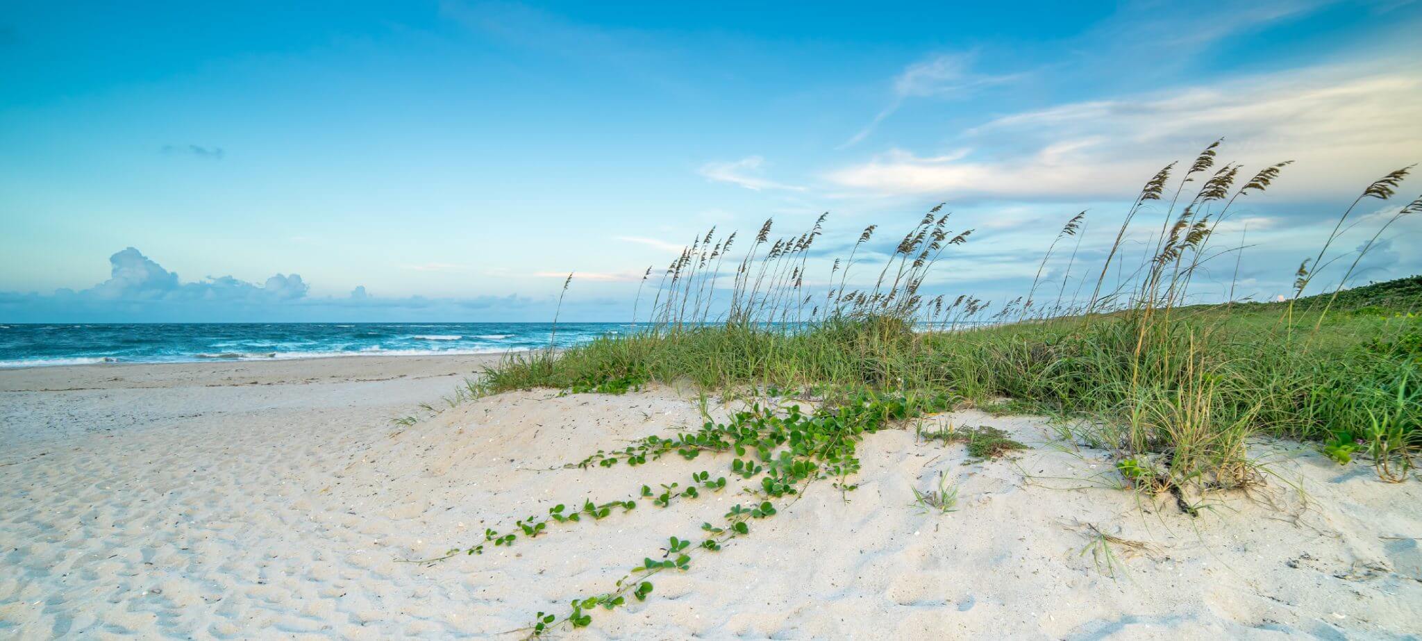 Discover - Visit Indian River County